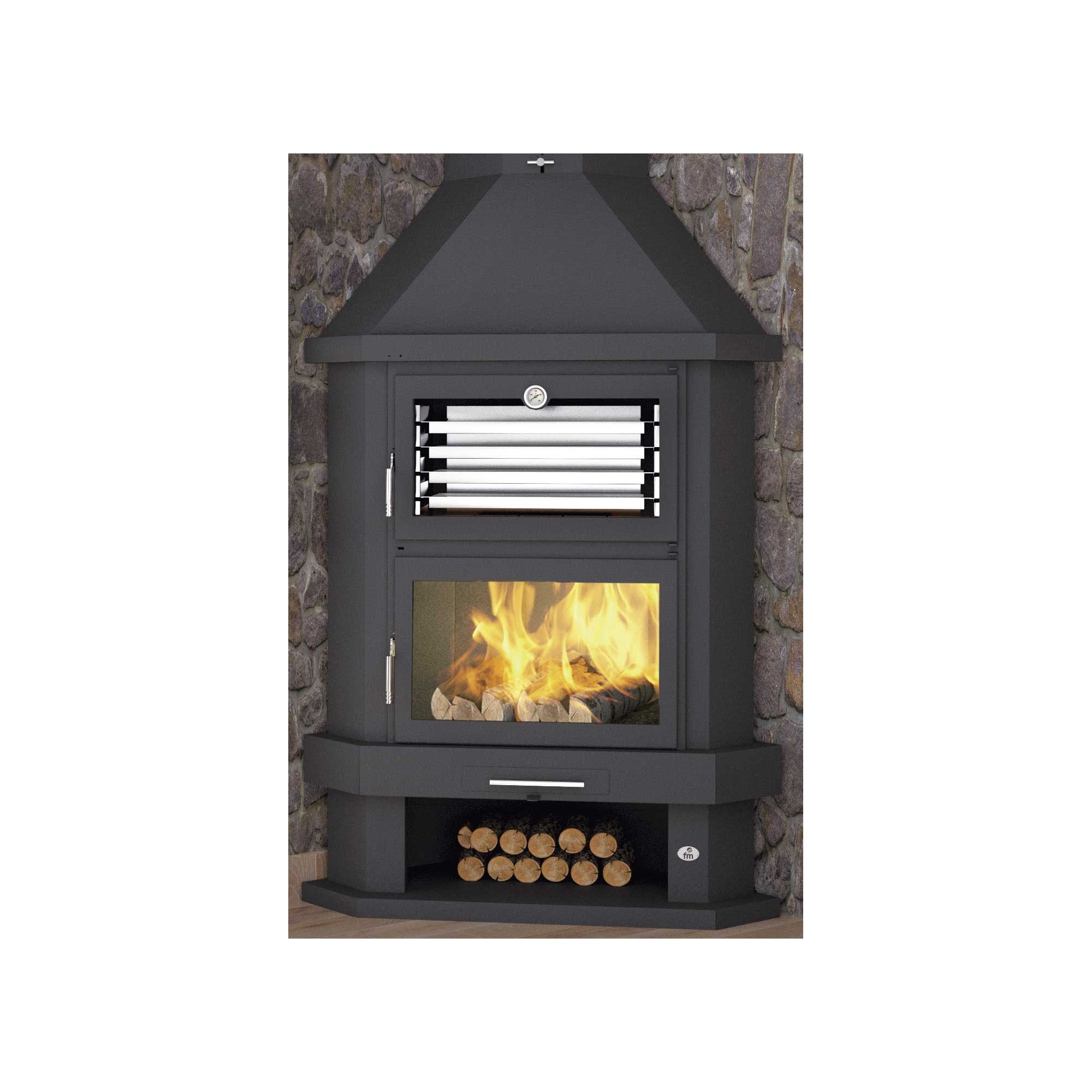 Tienda de chimeneas metálicas de leña