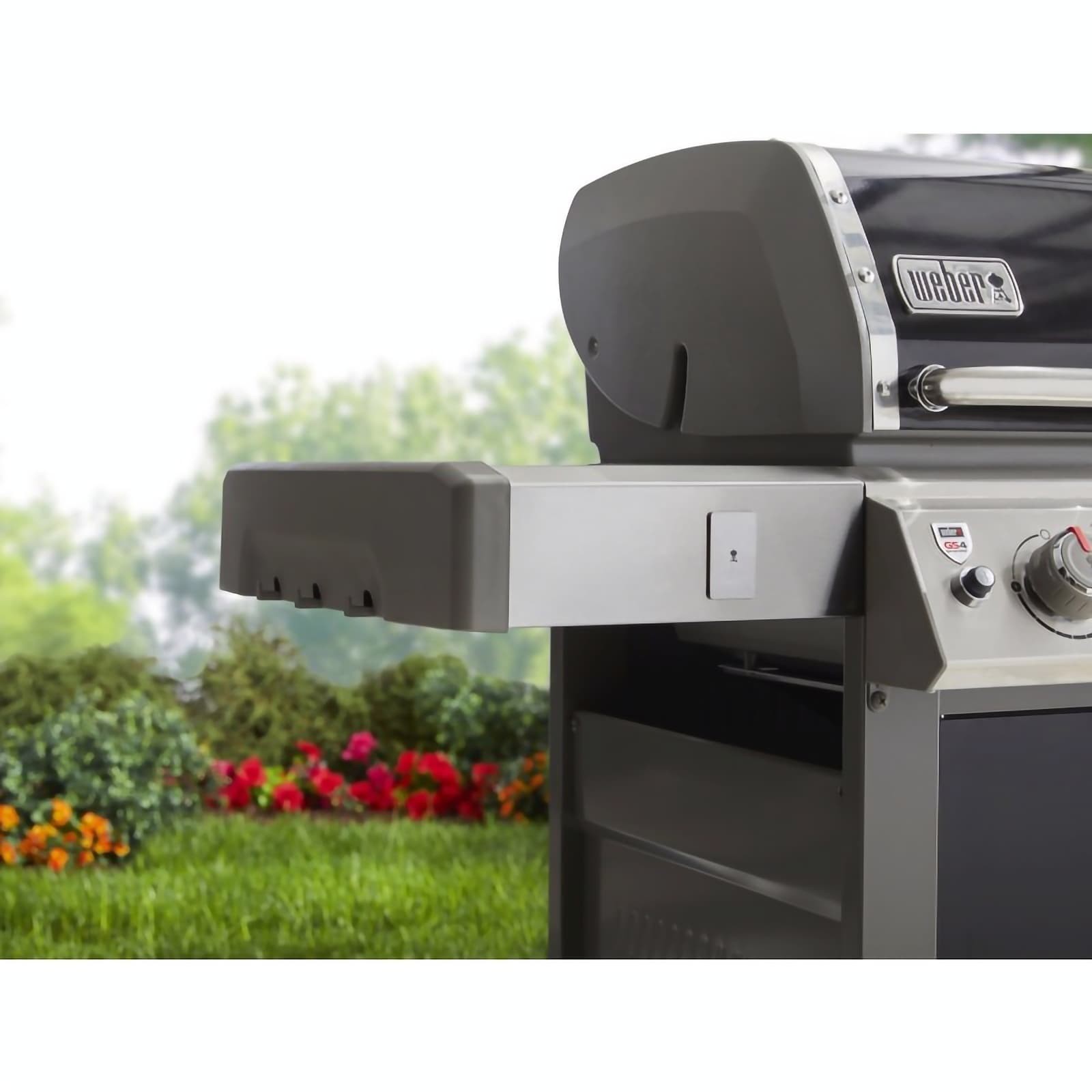 Soporte para WEBER CONNECT